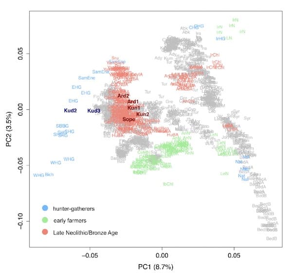 The Finnic peoples emerged in Baltic after the Bronze Age – Gene Expression