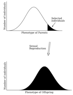 Soft & hard selection vs. soft & hard sweeps – Gene Expression