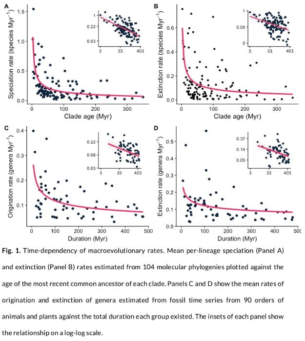 General laws of macroevolution from phylogenetics – Gene Expression