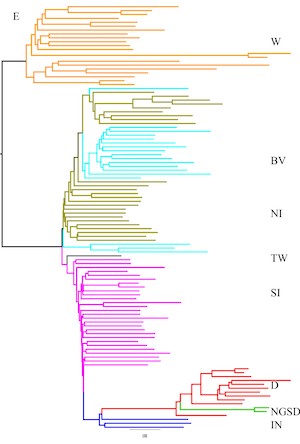 The dingo ate our domestication – Gene Expression