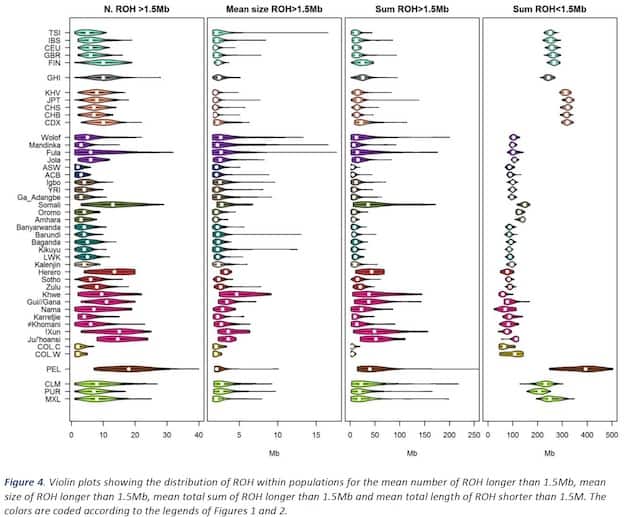 Patterns of genetic diversity within Africa – Gene Expression