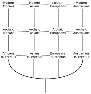 Reevaluating “multiple origins” for modern humans – Gene Expression