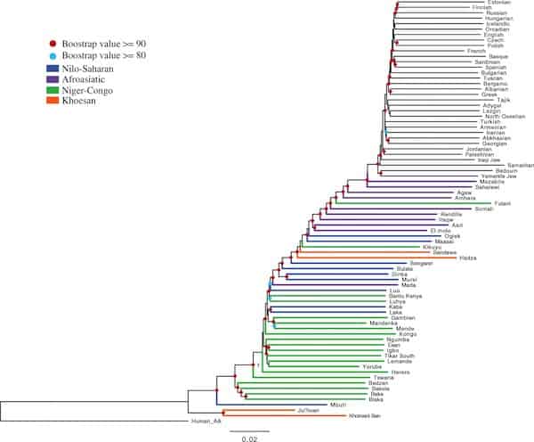 African genomics tells us about deep structure and history – Gene ...