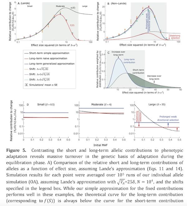 The arc of selection on polygenic traits – Gene Expression