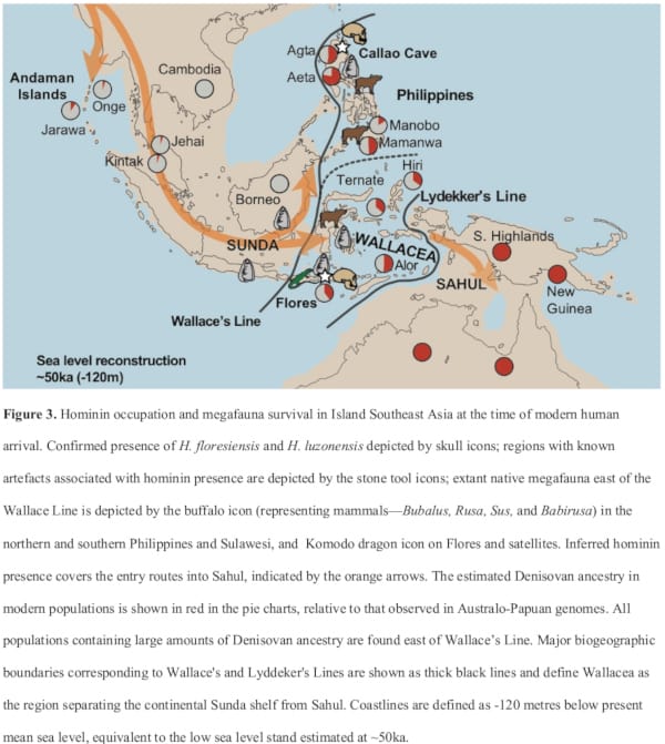 The Wallacean Hominin Wonderland – Gene Expression
