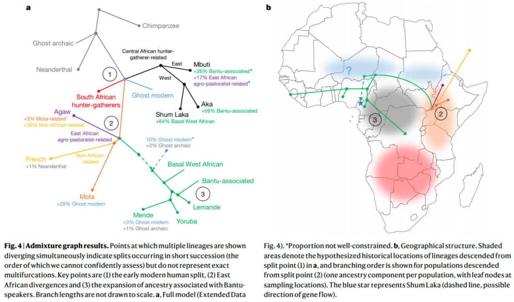 So many assumptions about Africa – Gene Expression
