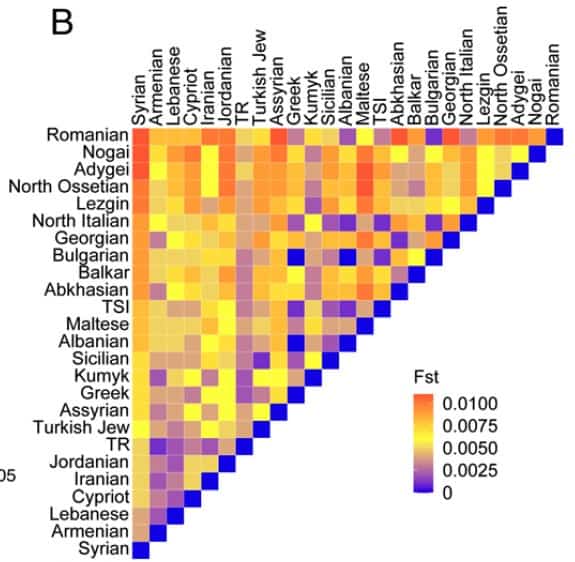 Turks: Greek or Armenian? – Gene Expression