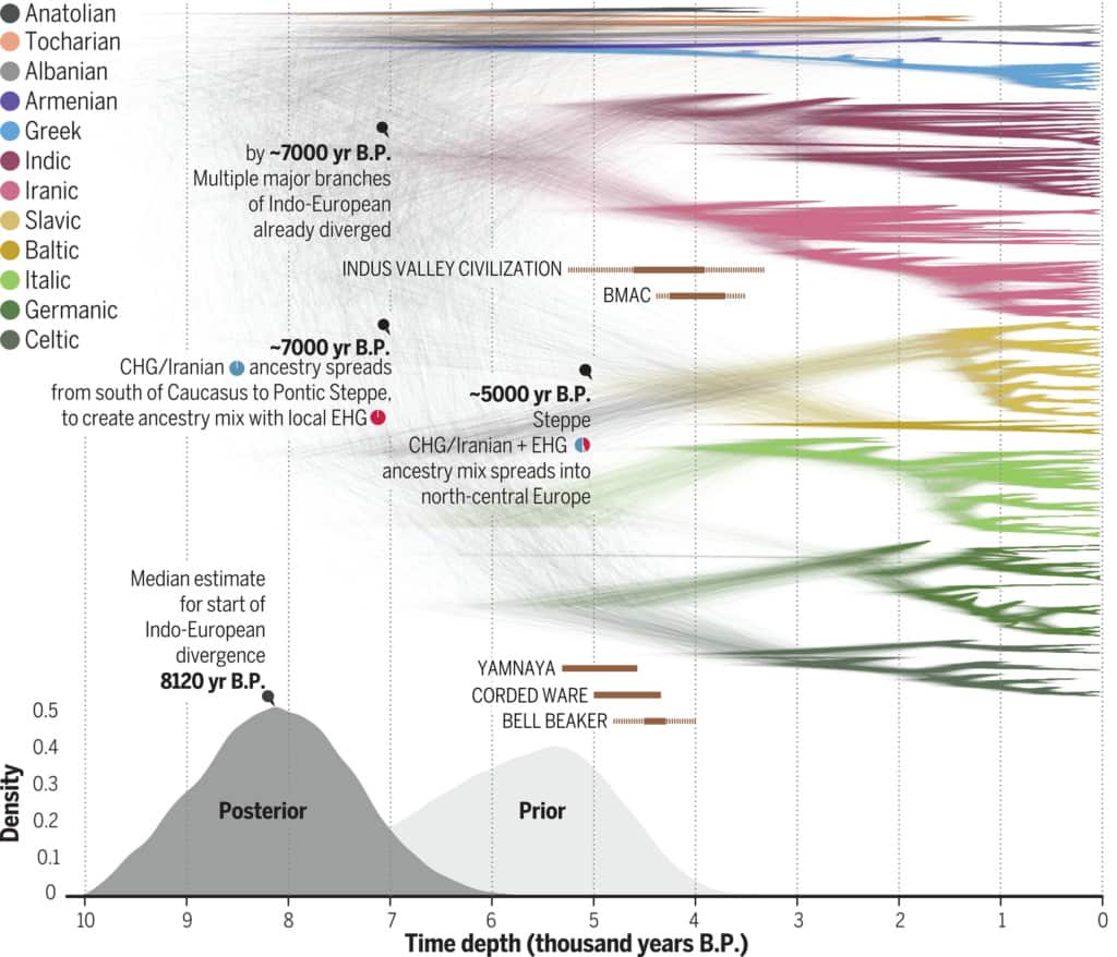Computational linguistic phylogenetics and Indo-Europeans – Gene Expression
